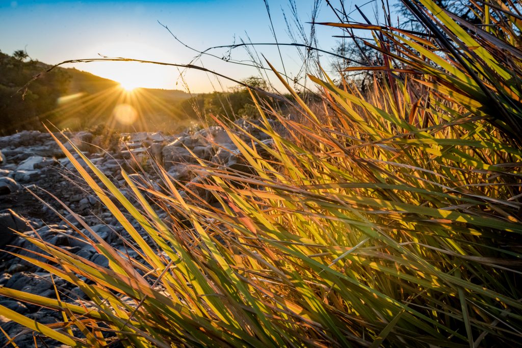 Here comes the sun | The Homestead