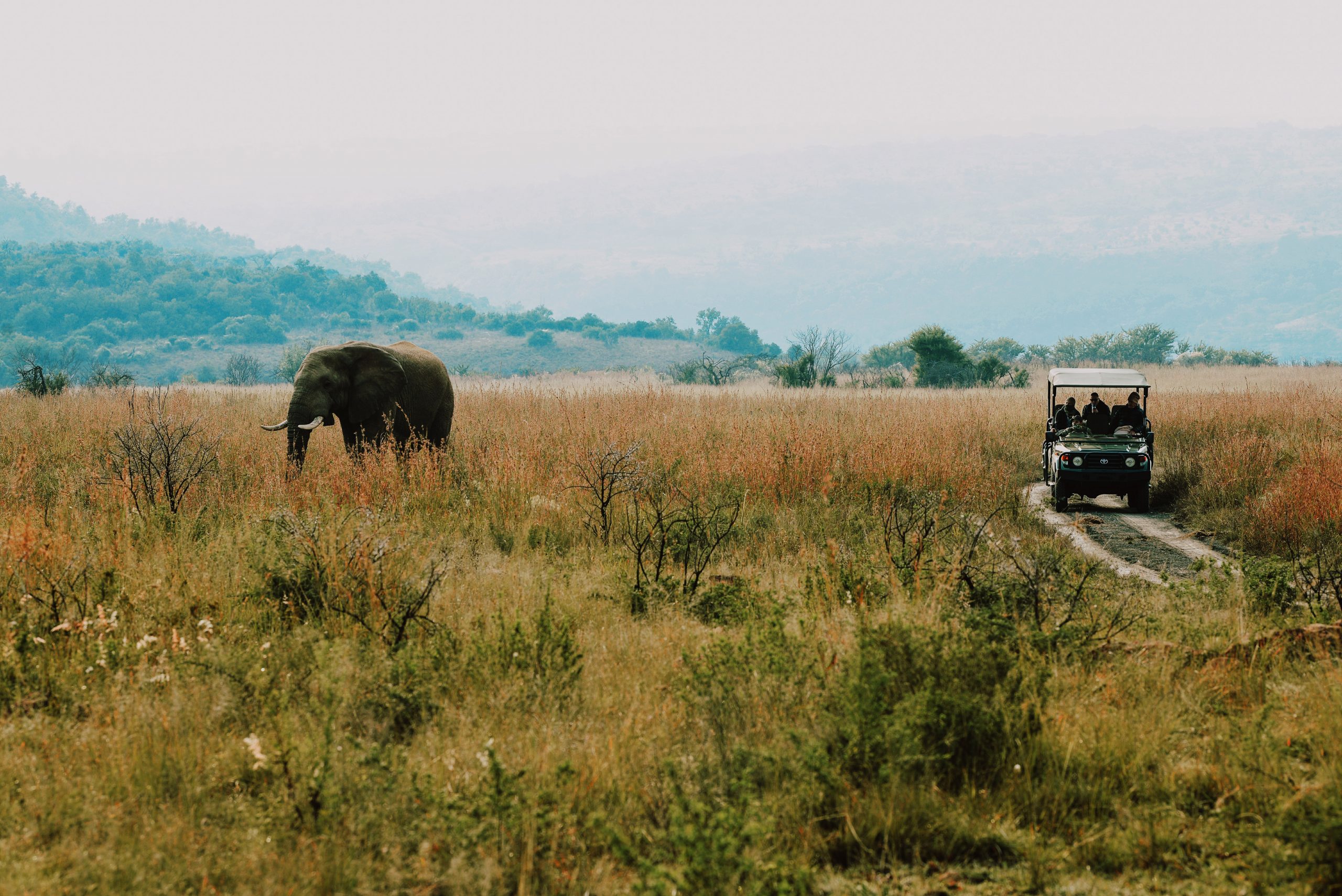 The Homestead: Building ultra-luxury in Nambiti Private Game Reserve ...