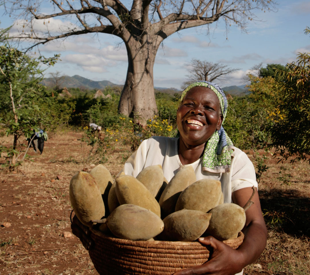 The Homestead Spa: Featuring locally produced African products from ...